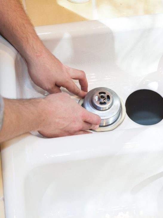 Can You Put Citrus Peels In A Garbage Disposal?
