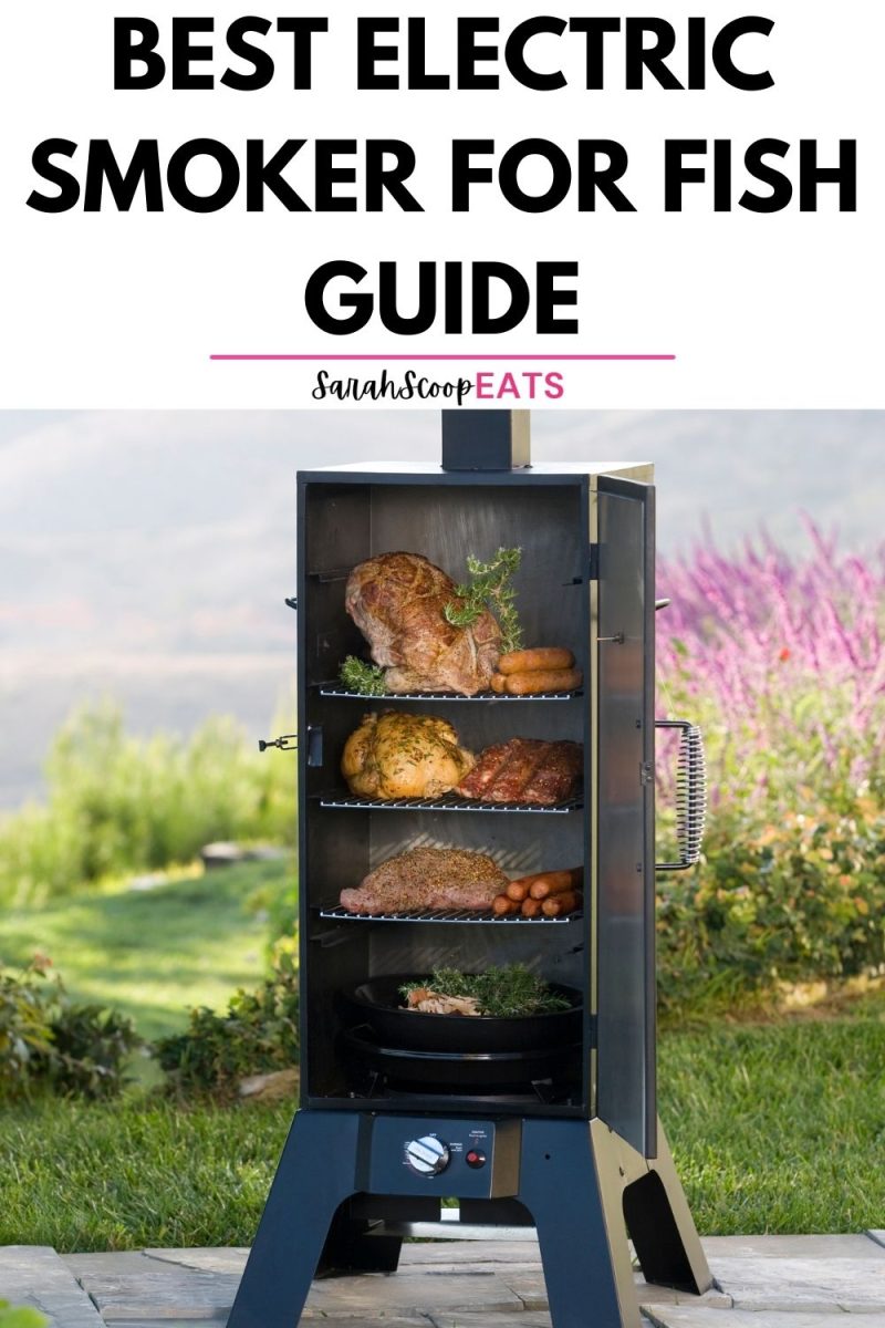 10 Best Electric Smoker For Fish Guide In 2023